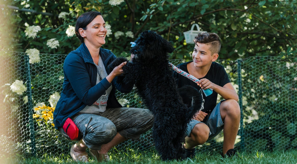 Puppy Training Course - (No instructor, learn on your own) – Enriched Dog