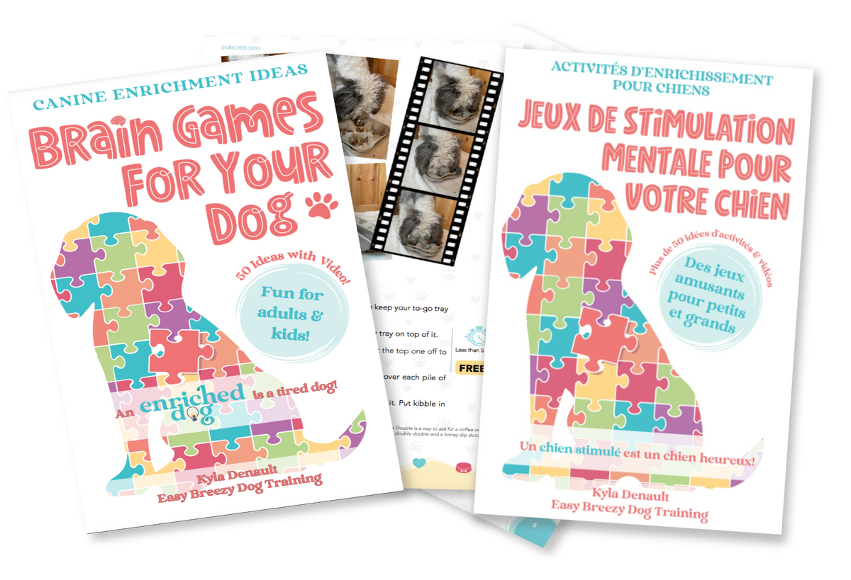 Brain Games For Your Dog – Enriched Dog